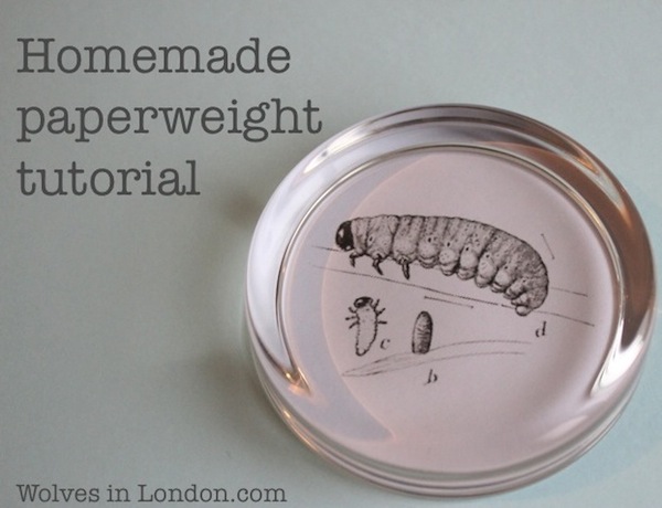 Man present: homemade paperweights | Wolves in London