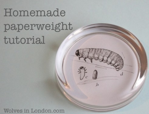 Man present: homemade paperweights | Wolves in London