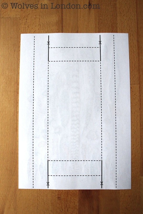 Box of delights: gift box template and tutorial | Wolves in London