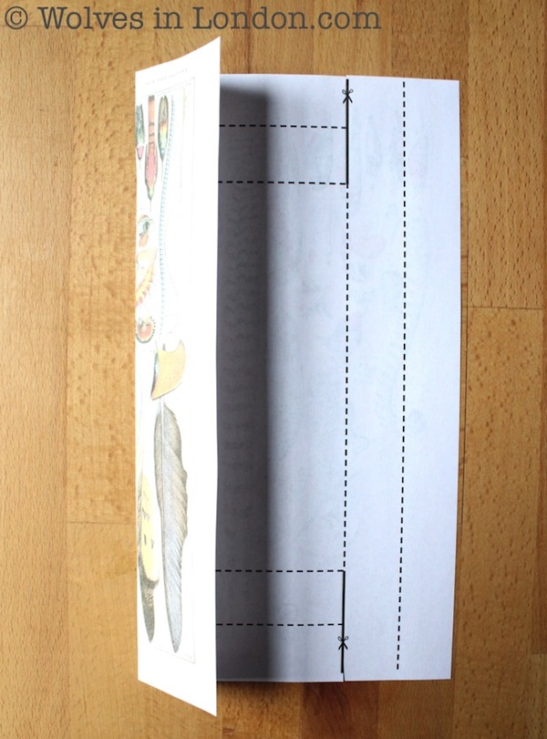Box of delights: gift box template and tutorial | Wolves in London