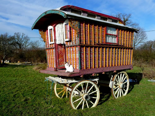 Lusting after sheds | Wolves in London