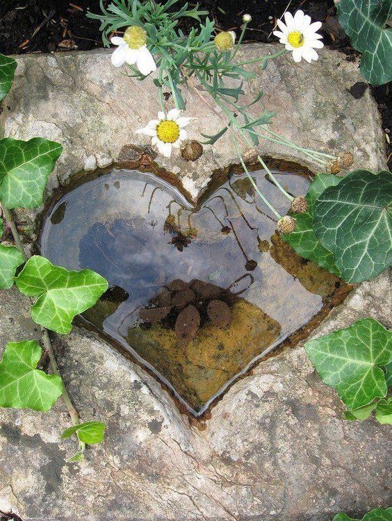 A green, green Valentines: 5 DIY presents for plant lovers | Wolves in ...