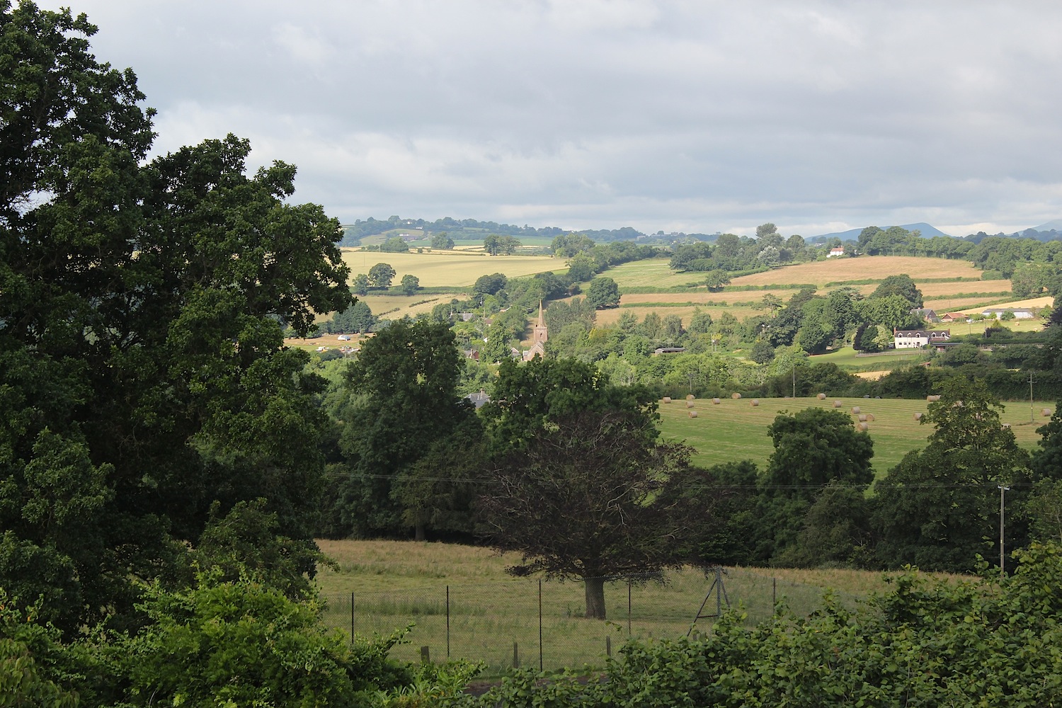 Five on Friday | Wolves in London